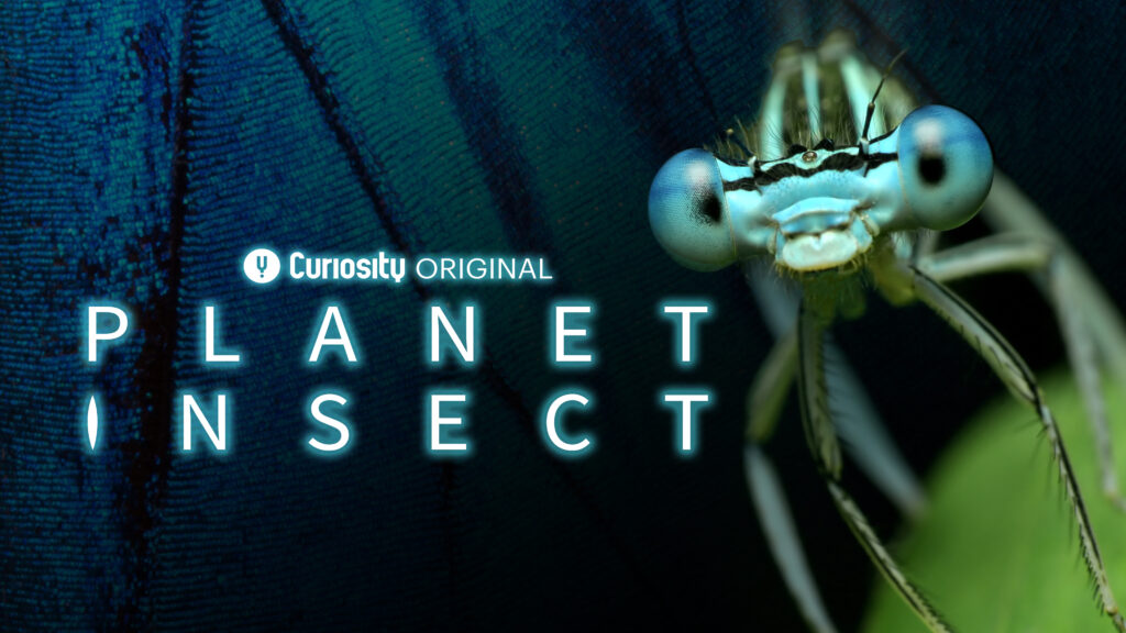 Curiosity Channel Expands Global Footprint with Launch On Australia’s ...